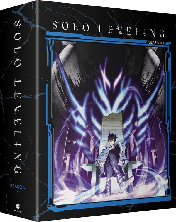 Solo Leveling Season 1 - Limited Edition Blu-ray/DVD – alltheanime